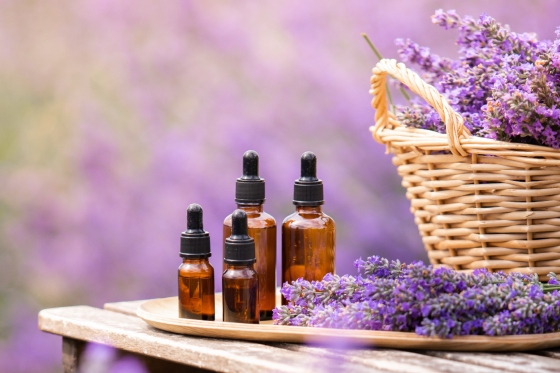 Ulei de lavanda – informatii despre beneficii si utilizari