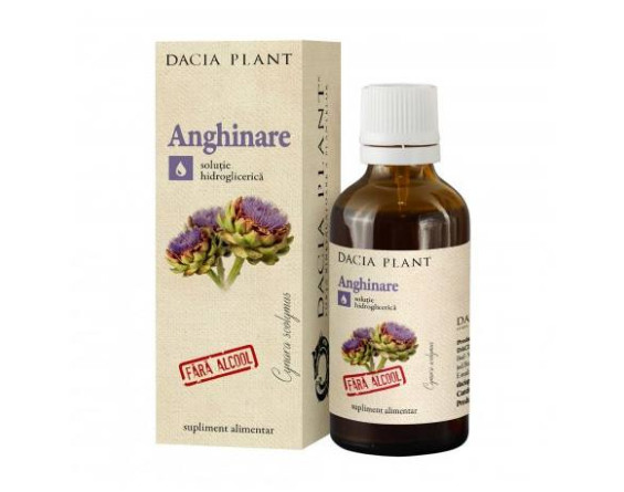 Pagina 2 Enzime digestive | Catena